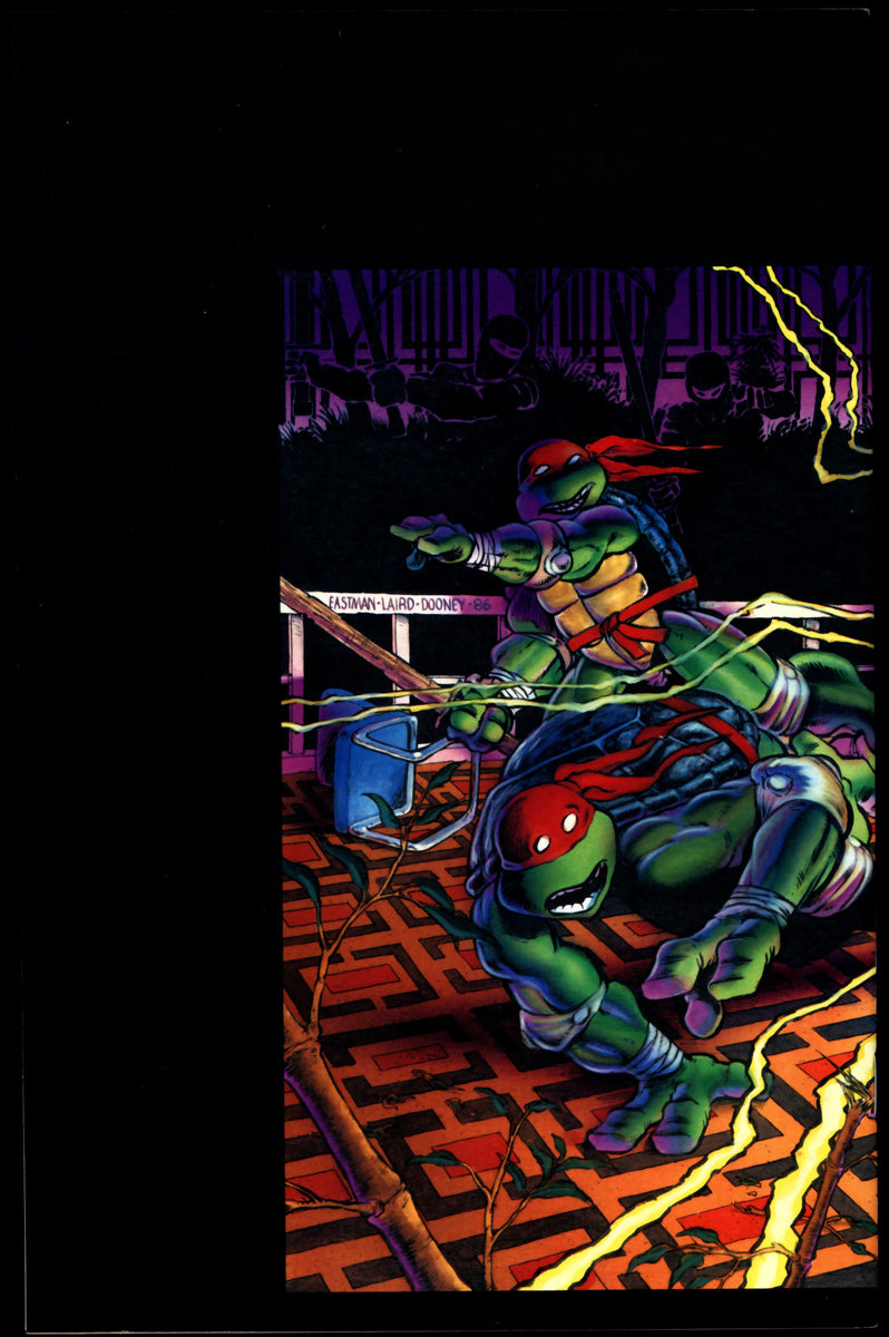 Teenage Mutant Ninja Turtles #9 Mirage 1986 (NM-) 1st Splinter Cvr ...